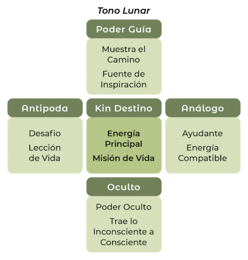 Las Bases del Tzolkin y Componentes para Principiantes | MayanKin