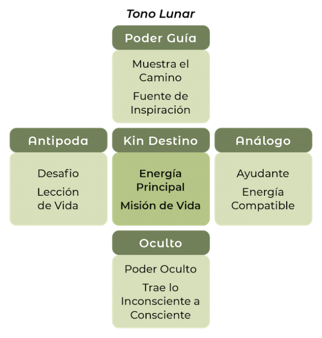 Las Bases del Tzolkin y Componentes para Principiantes | MayanKin